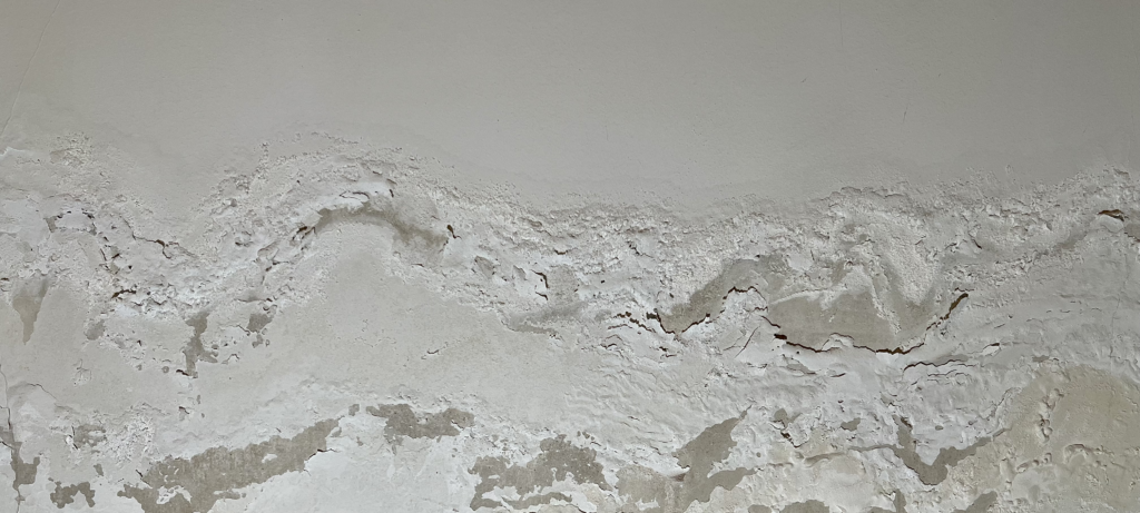 Biodry: La tecnología suiza que elimina definitivamente la humedad por ...